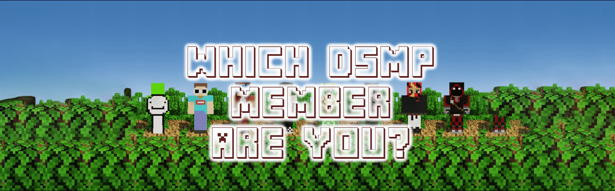 Which DSMP Member Are You?